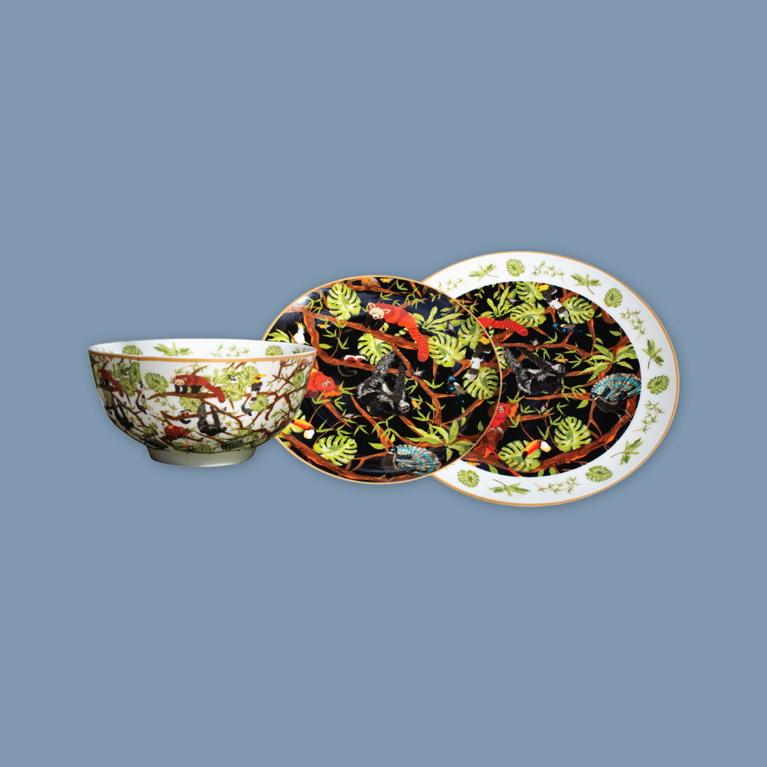 Photo Phactory Exotic Plates And Bowl Set | Mandai Wildlife Reserve