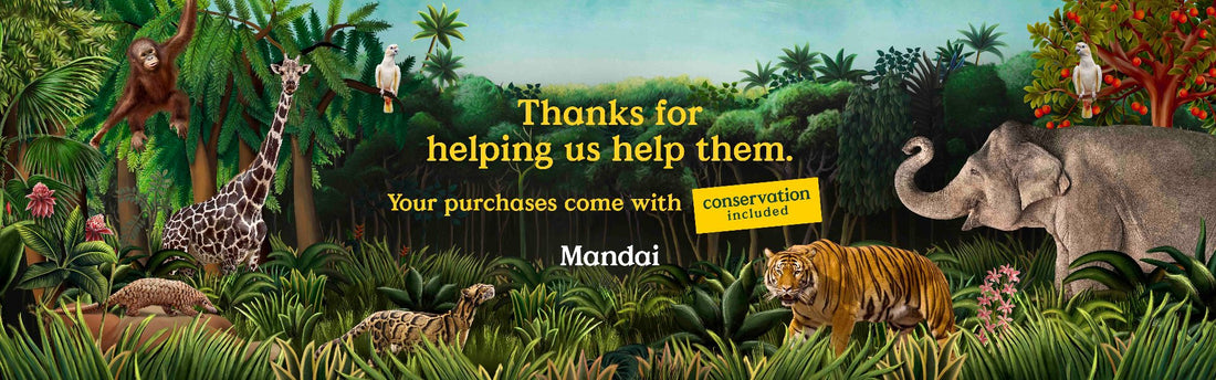Shop Official Mandai Wildlife Reserve Merchandise – Shop Mandai