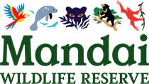 Shop Official Mandai Wildlife Reserve Merchandise | Mandai Wildlife Reserve