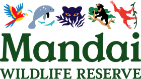 Shop Official Mandai Wildlife Reserve Merchandise | Mandai Wildlife Reserve