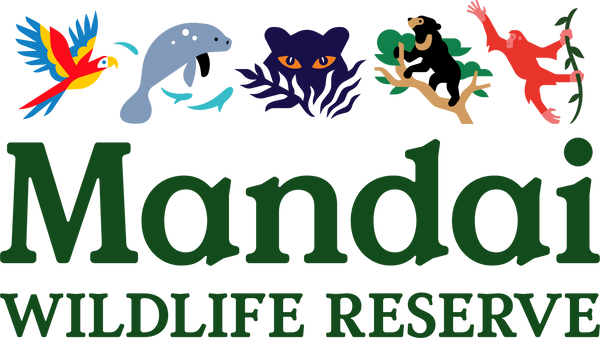 Shop Official Mandai Wildlife Reserve Merchandise | Mandai Wildlife Reserve