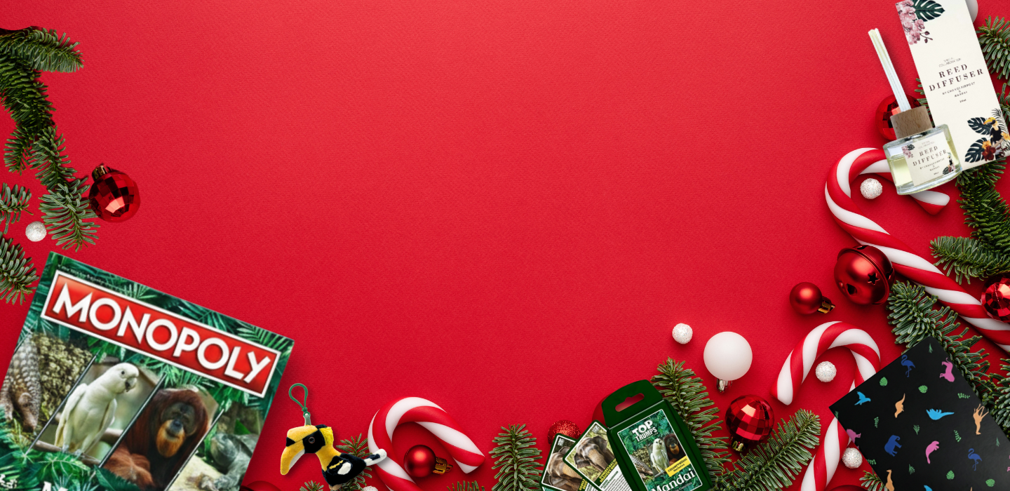 Shop Official Mandai Wildlife Reserve Merchandise | Mandai Wildlife Reserve